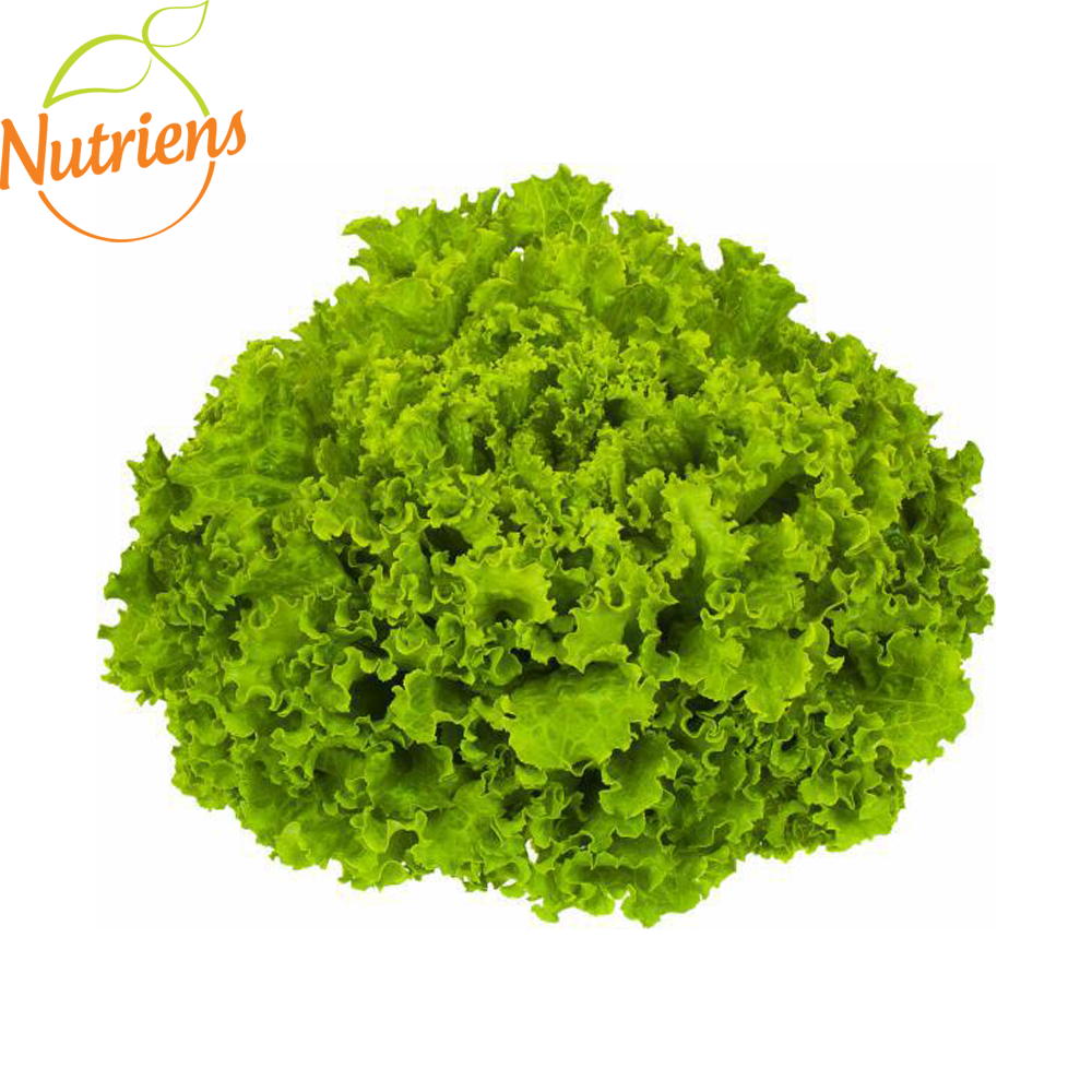 Alface Crespa Higienizada Orgânica Nutriens 150g - Sonda Supermercado ...