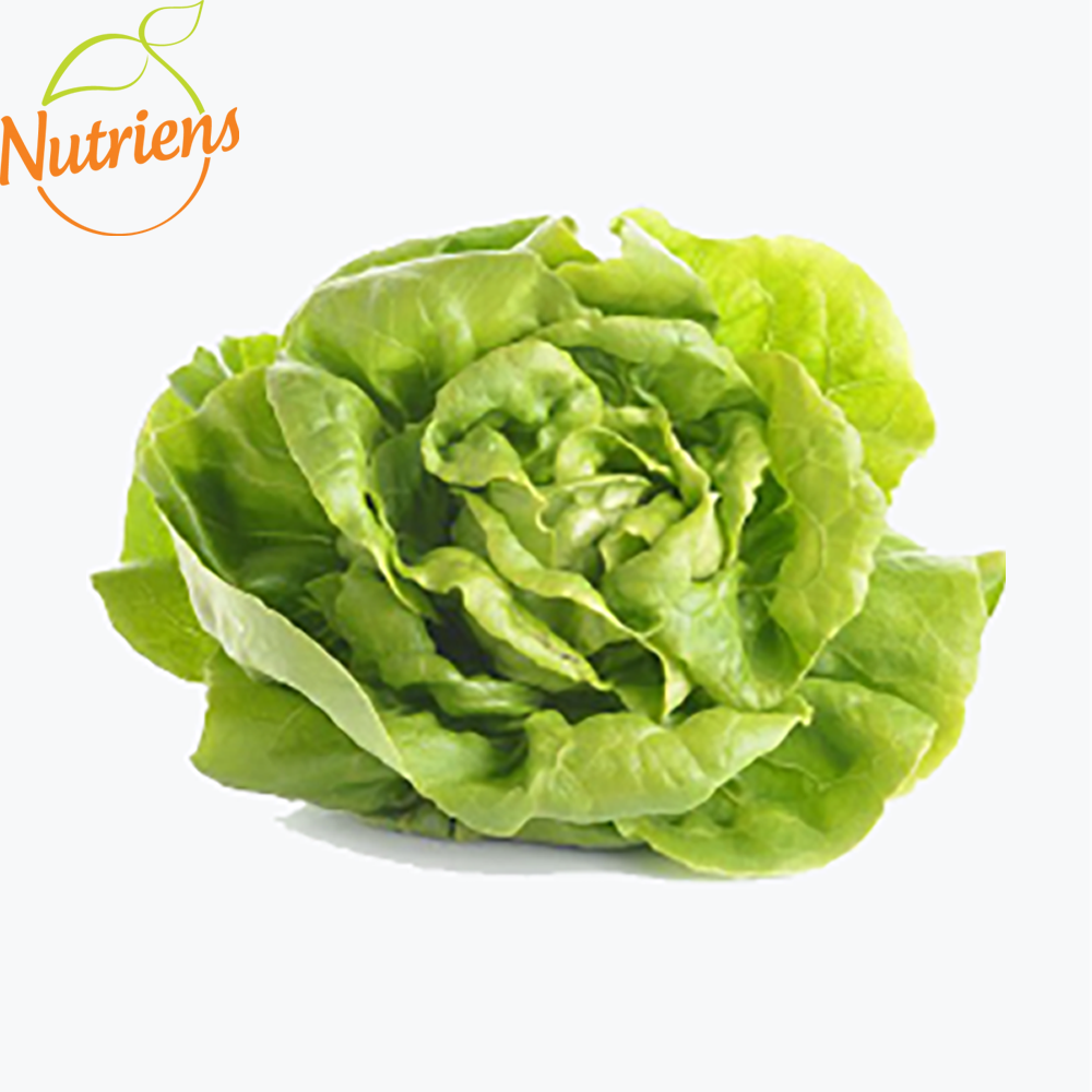 Alface Lisa Higienizada Orgânica Nutriens Embalada 150g - Sonda ...